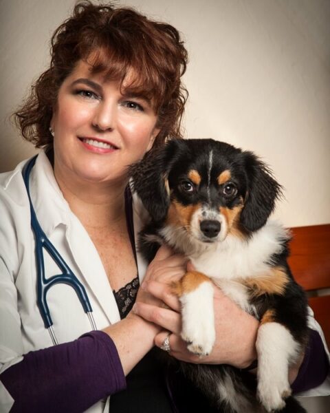 Veterinarian In Santa Cruz, CA | Adobe Animal Hospital Of Soquel