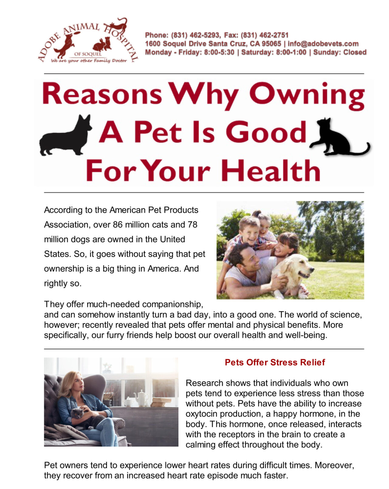 Veterinary Newsletters | Adobe Animal Hospital Of Soquel